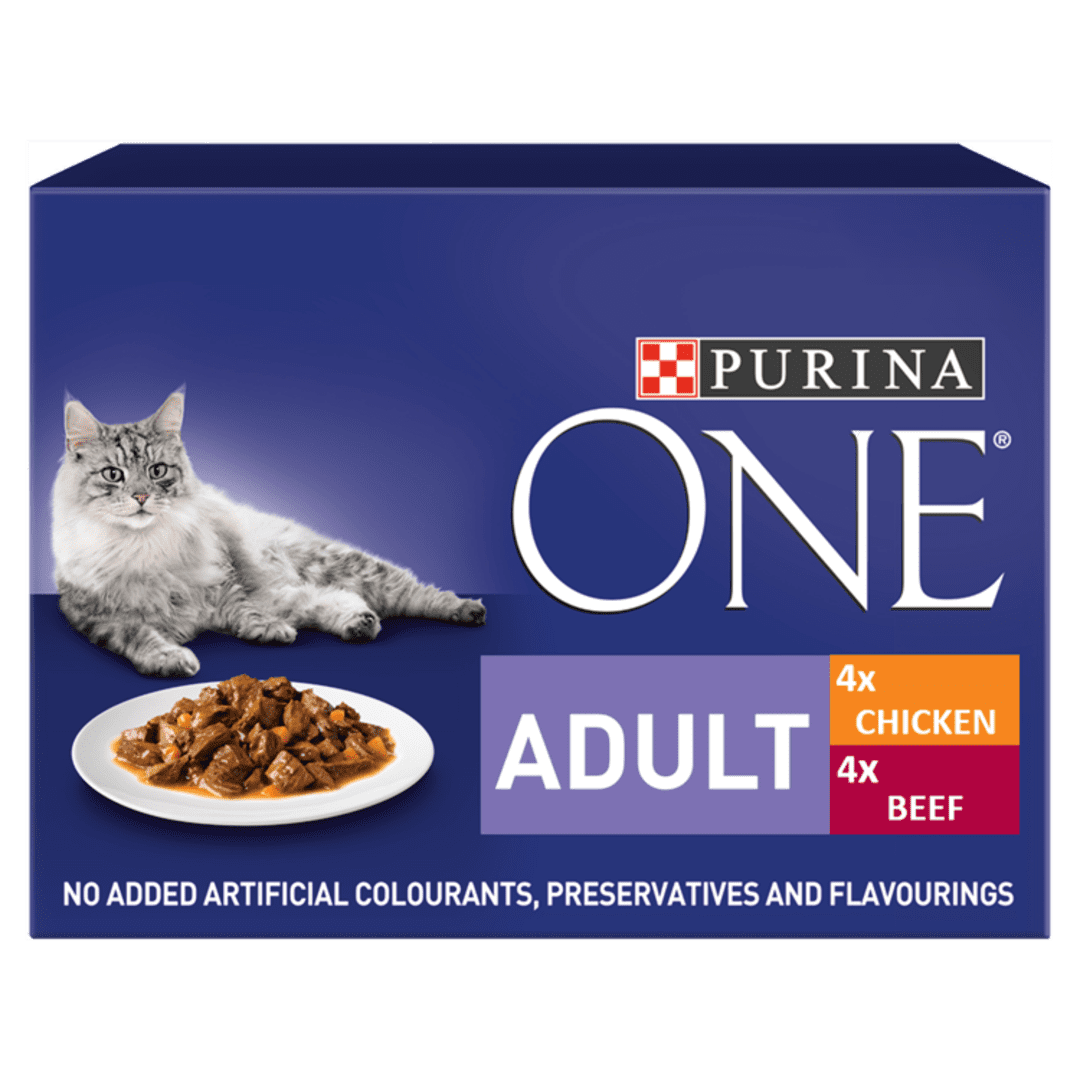 PURINA ONE® Mini Fillets Chicken Cat Food | Purina