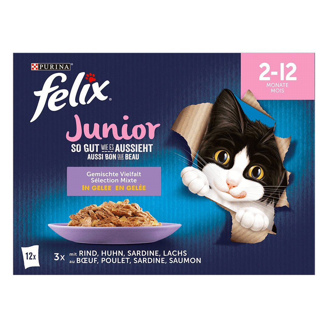 So gut wie es aussieht "Gemischte Vielfalt" Felix Junior Katzenfutter ...