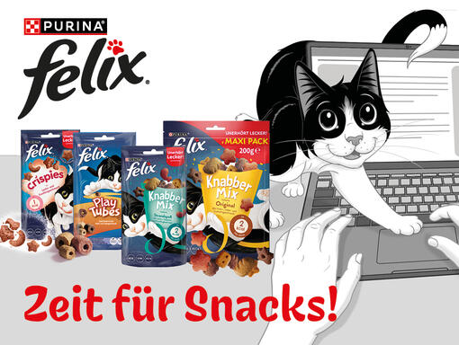 Unwiderstehliche FELIX Snacks – Deine Katze wird sie lieben!